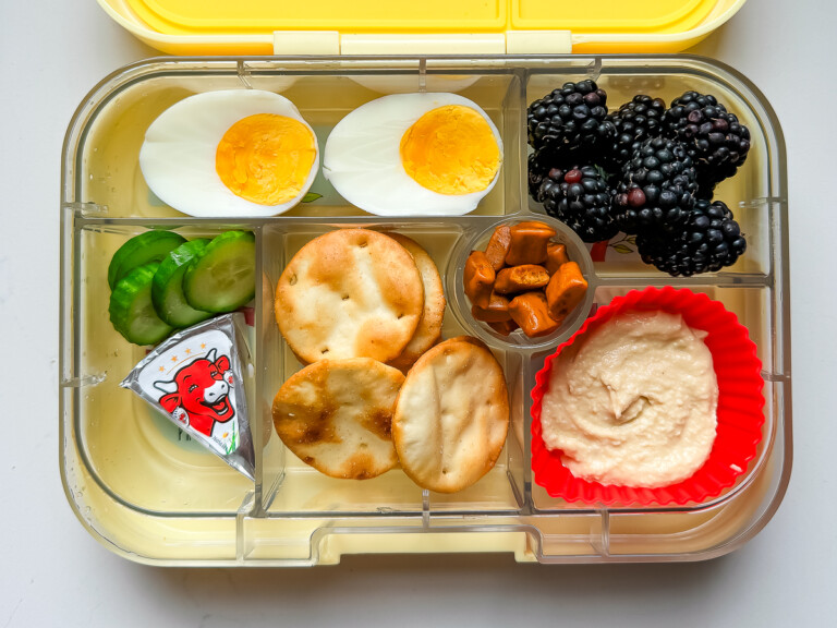 Kid's Lunch Box Ideas: What to Pack, Tips and Recipes - Eating Bird Food
