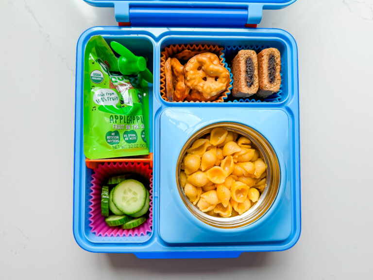 Kid's Lunch Box Ideas: What to Pack, Tips and Recipes - Eating Bird Food