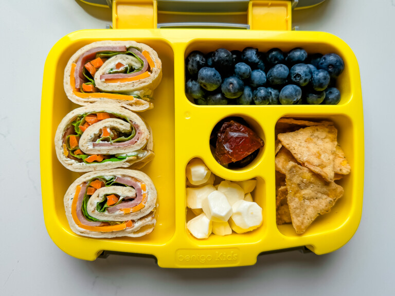 Kid's Lunch Box Ideas: What to Pack, Tips and Recipes - Eating Bird Food