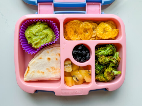 Kid's Lunch Box Ideas: What to Pack, Tips and Recipes - Eating Bird Food