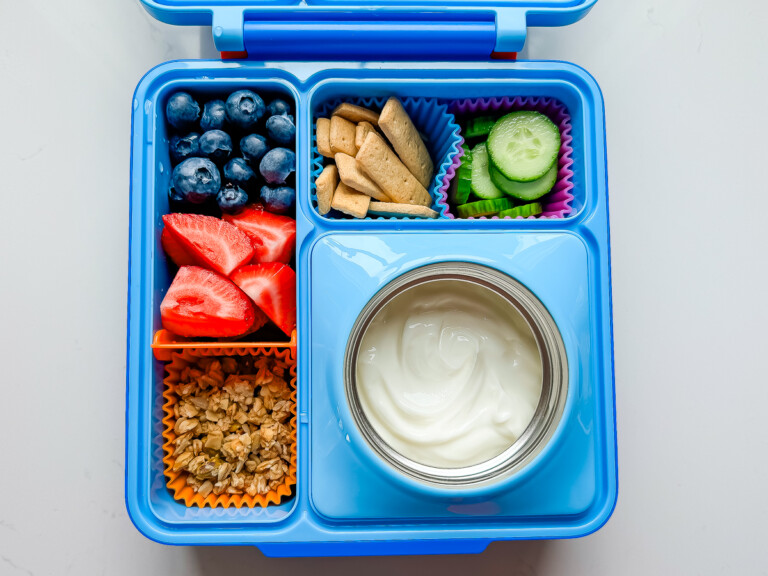 Kid's Lunch Box Ideas: What to Pack, Tips and Recipes - Eating Bird Food