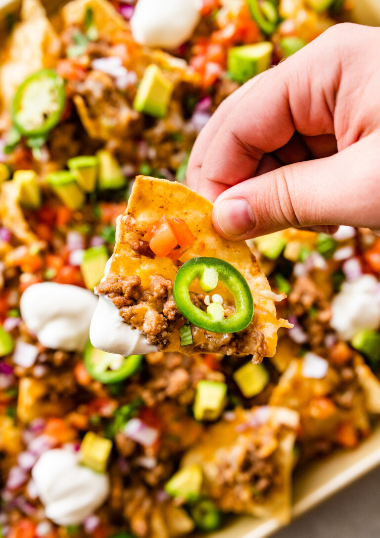The Best Loaded Nachos Recipe - Eating Bird Food