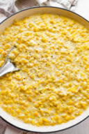 Healthy Vegetarian Recipes - Eating Bird Food