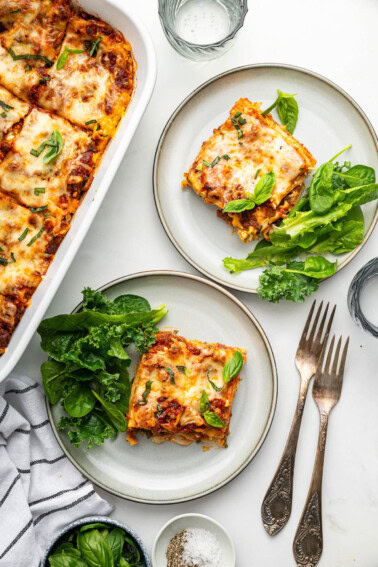 The BEST Healthy Lasagna - Eating Bird Food