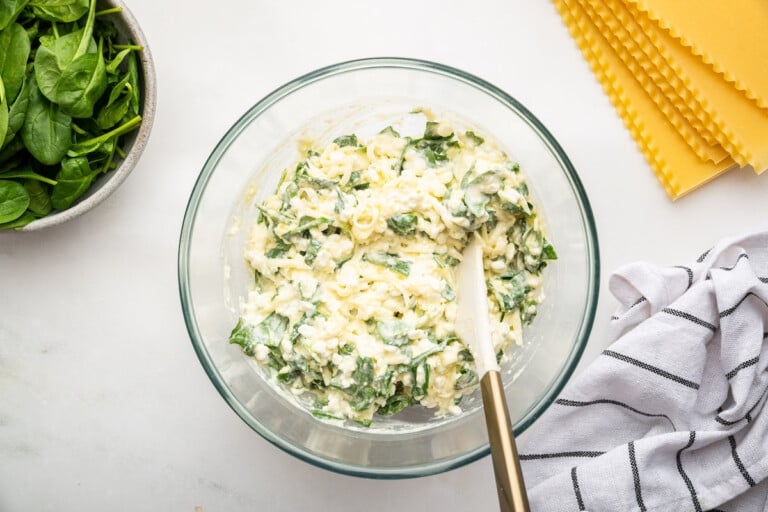 The BEST Healthy Lasagna - Eating Bird Food