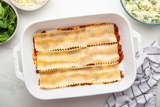 The BEST Healthy Lasagna - Eating Bird Food