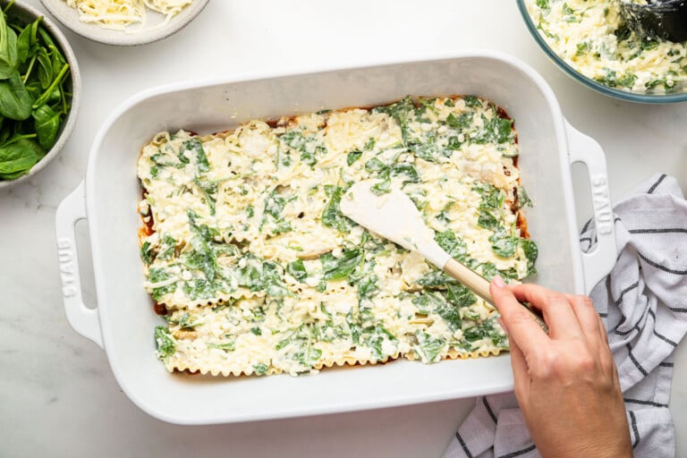 The BEST Healthy Lasagna - Eating Bird Food