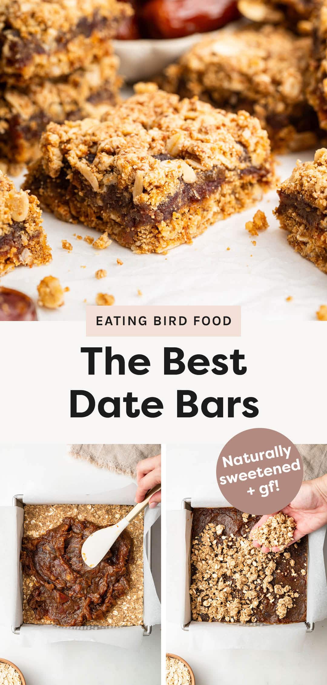 The BEST Date Bars - Eating Bird Food