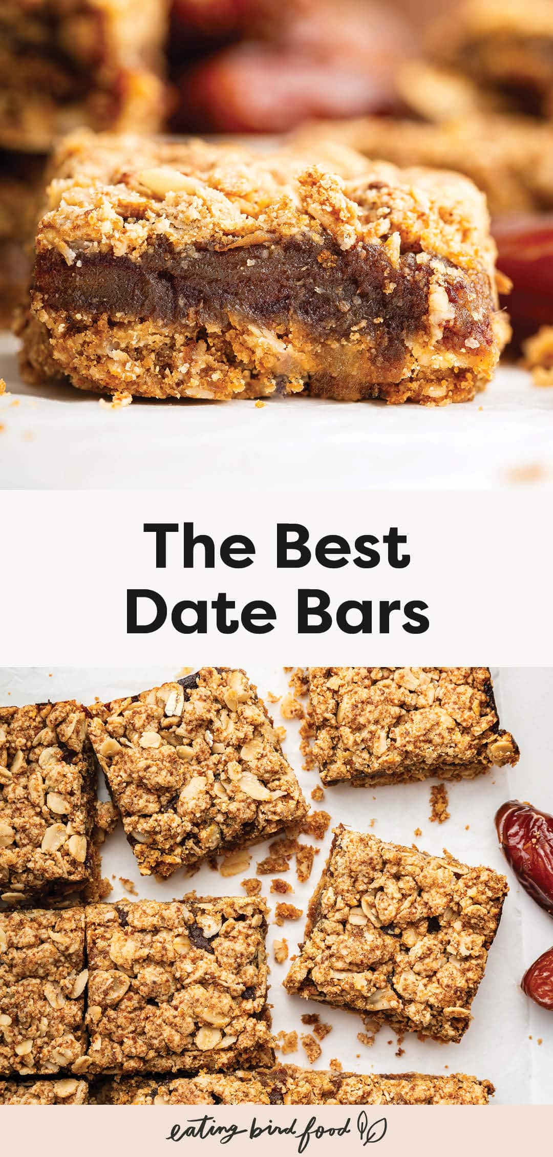 The BEST Date Bars - Eating Bird Food