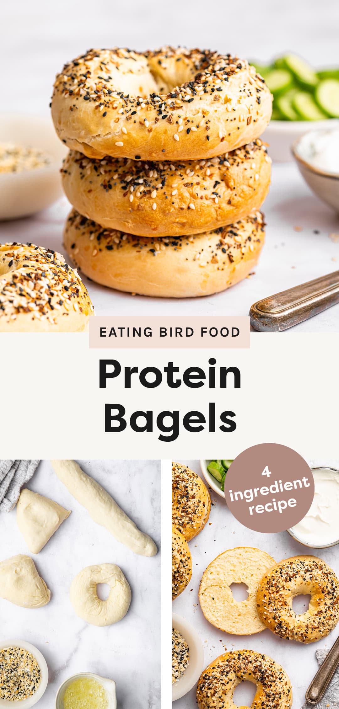 Easy 4 Ingredient Protein Bagels - Eating Bird Food