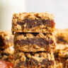 The BEST Date Bars - Eating Bird Food