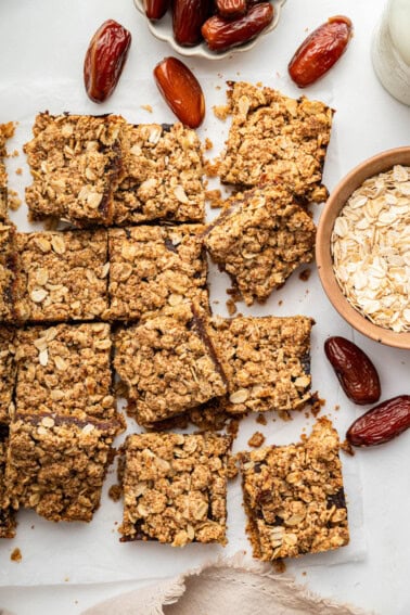 The BEST Date Bars - Eating Bird Food