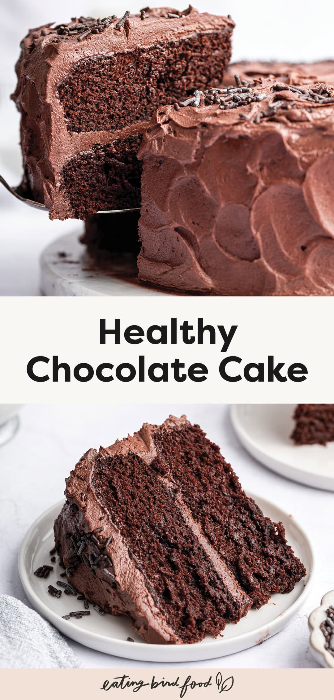 The BEST Healthy Chocolate Cake (Super Moist!) - Eating Bird Food