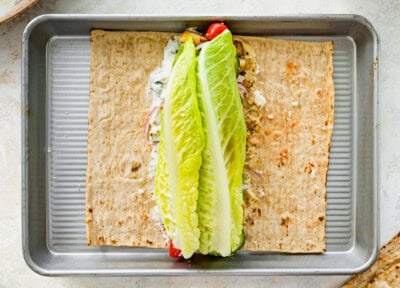 Healthy Greek Chicken Wrap with Hummus and Tzatziki - Eating Bird Food