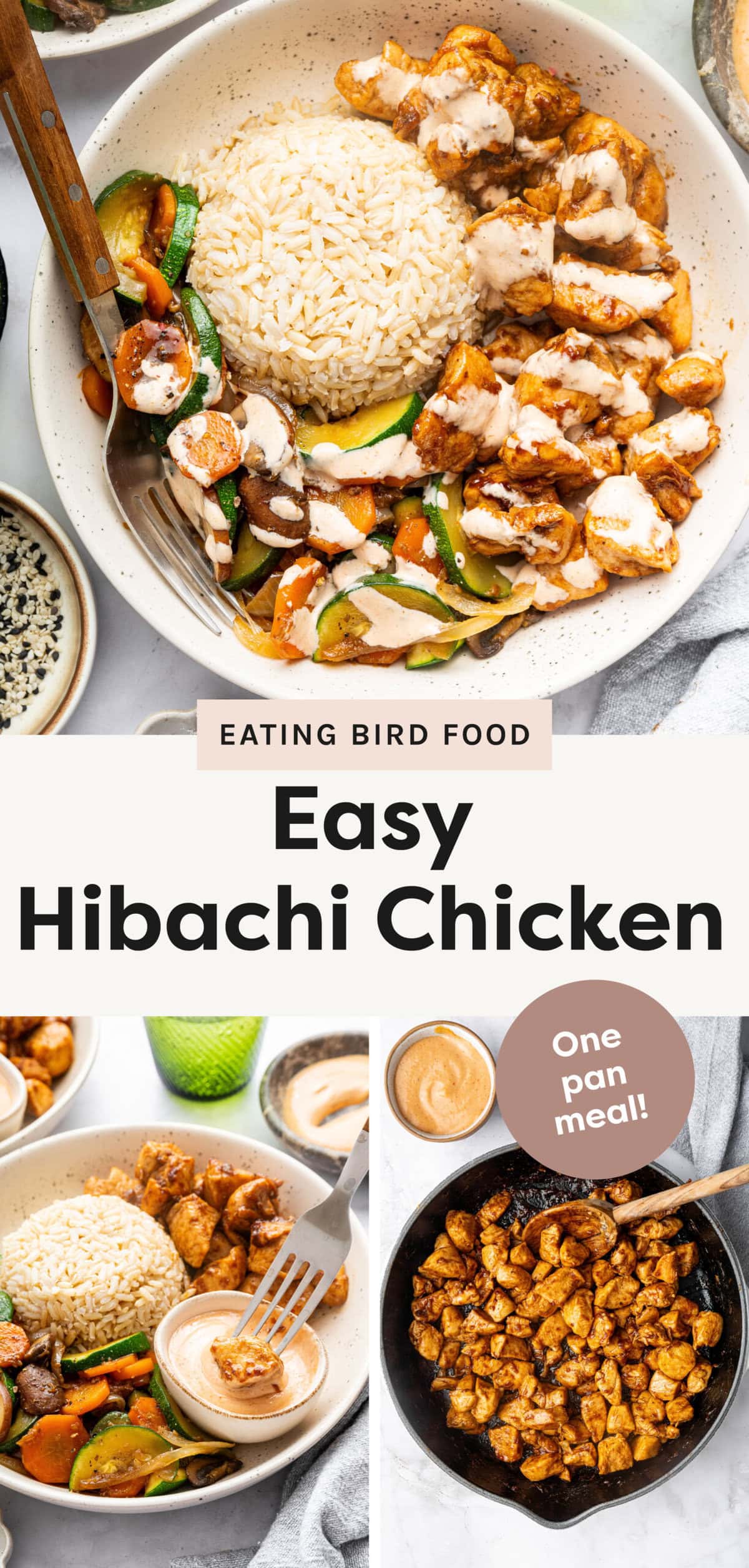 Easy Hibachi Chicken with Vegetables & Yum Yum Sauce - Eating Bird Food