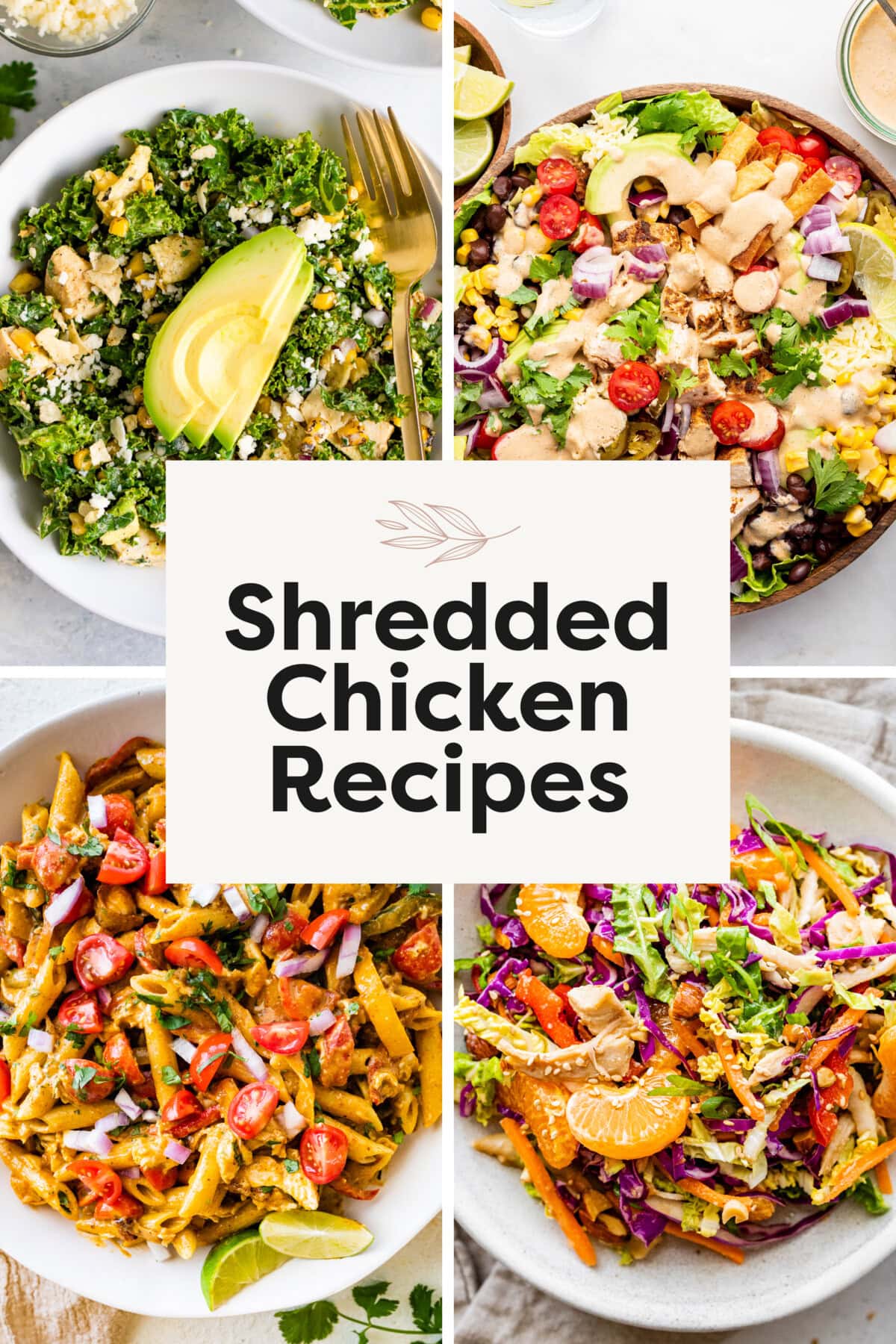 40+ Easy & Delicious Shredded Chicken Recipes - Eating Bird Food