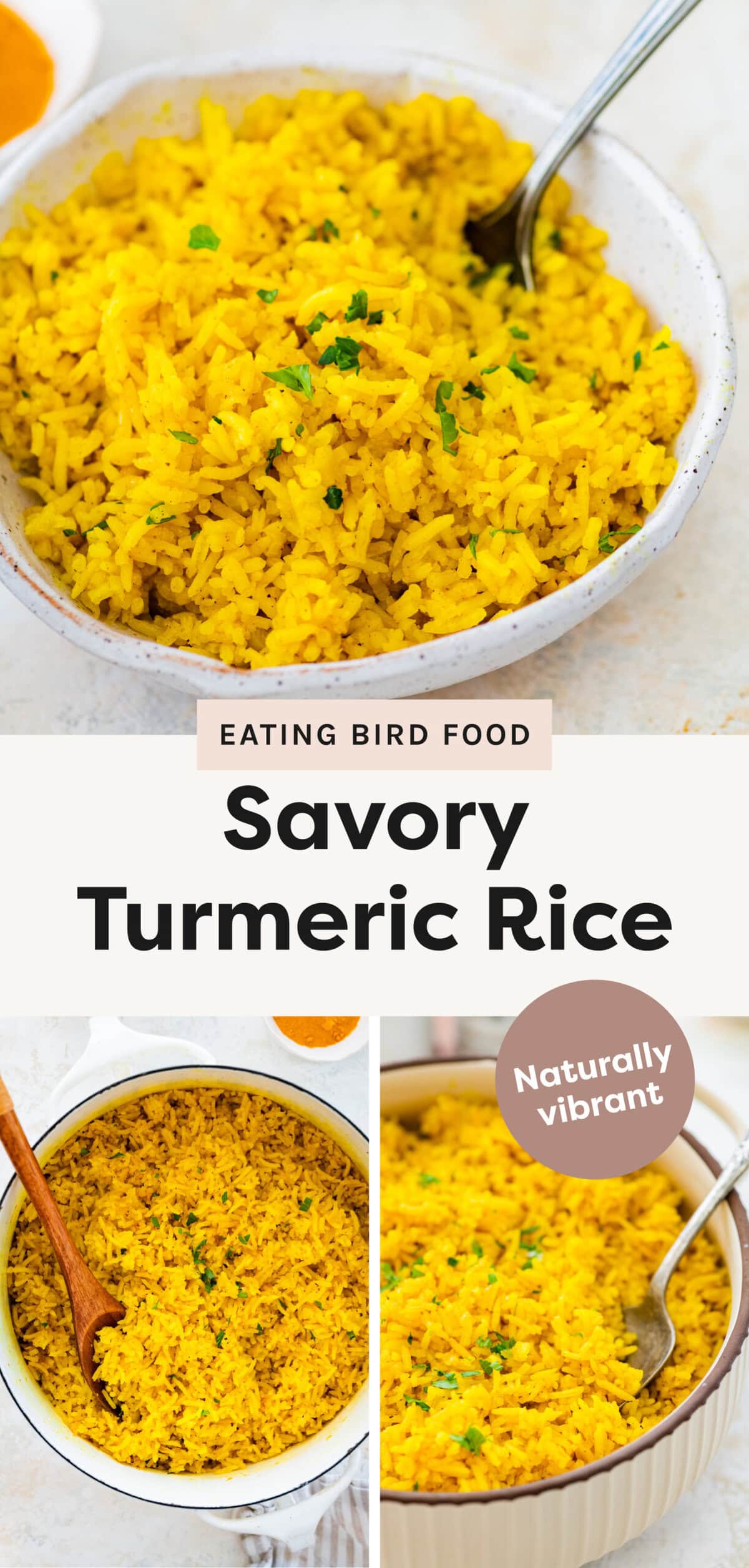 Quick and Easy Soft and Fluffy Turmeric Rice - Eating Bird Food