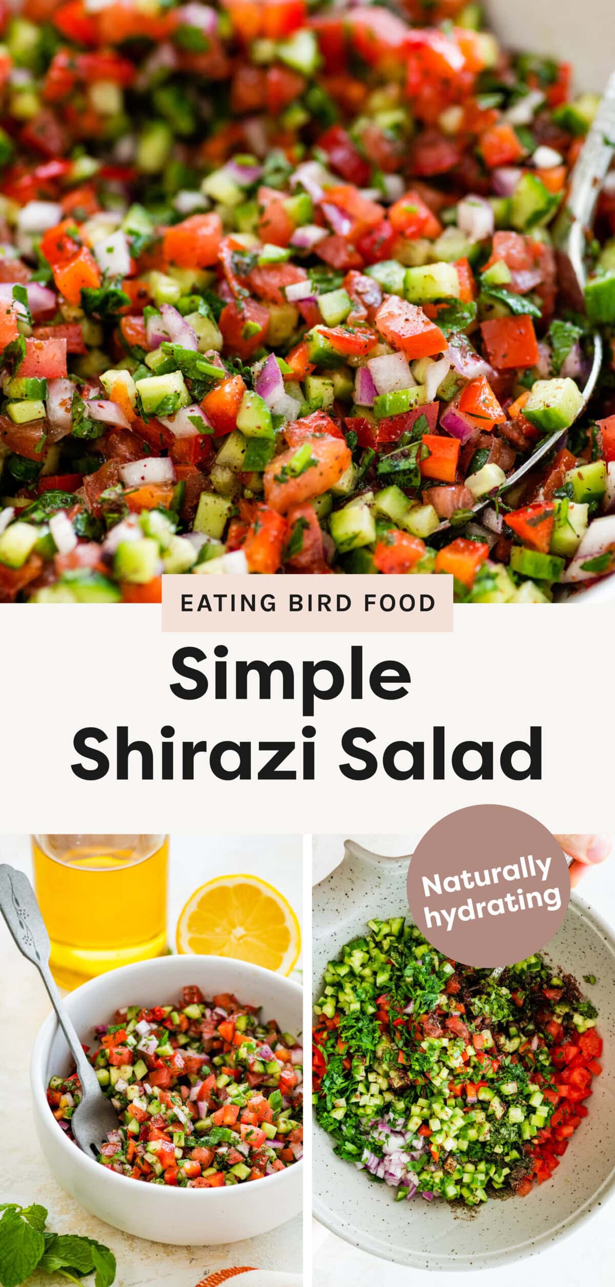 Easy Shirazi Salad (Persian Cucumber & Tomato Salad) - Eating Bird Food