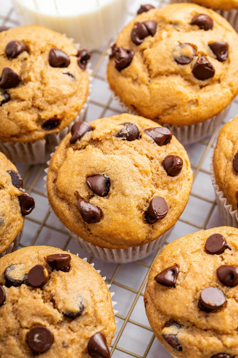 Kodiak Muffins - Eating Bird Food