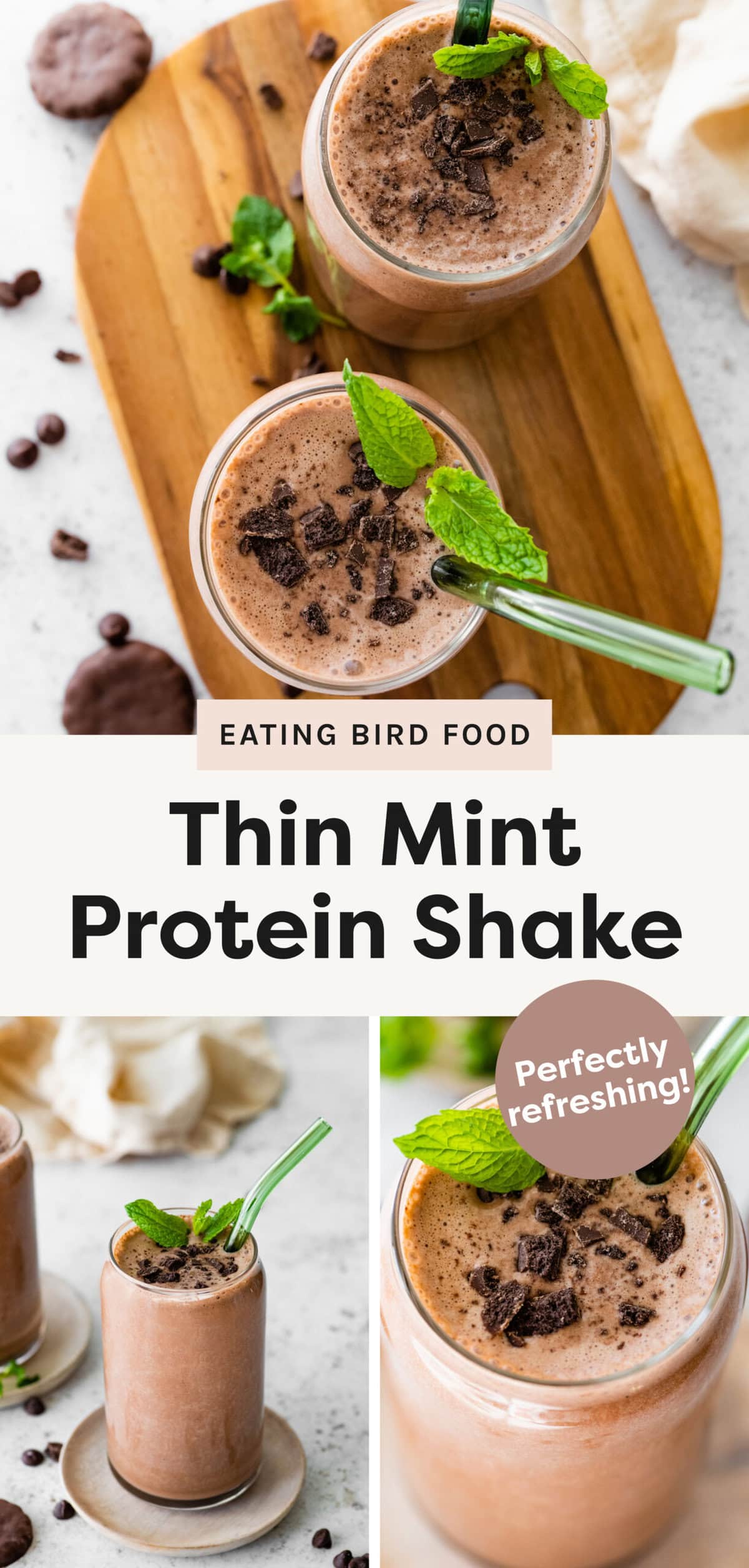 Thin Mint Protein Shake (Over 20g Protein) - Eating Bird Food
