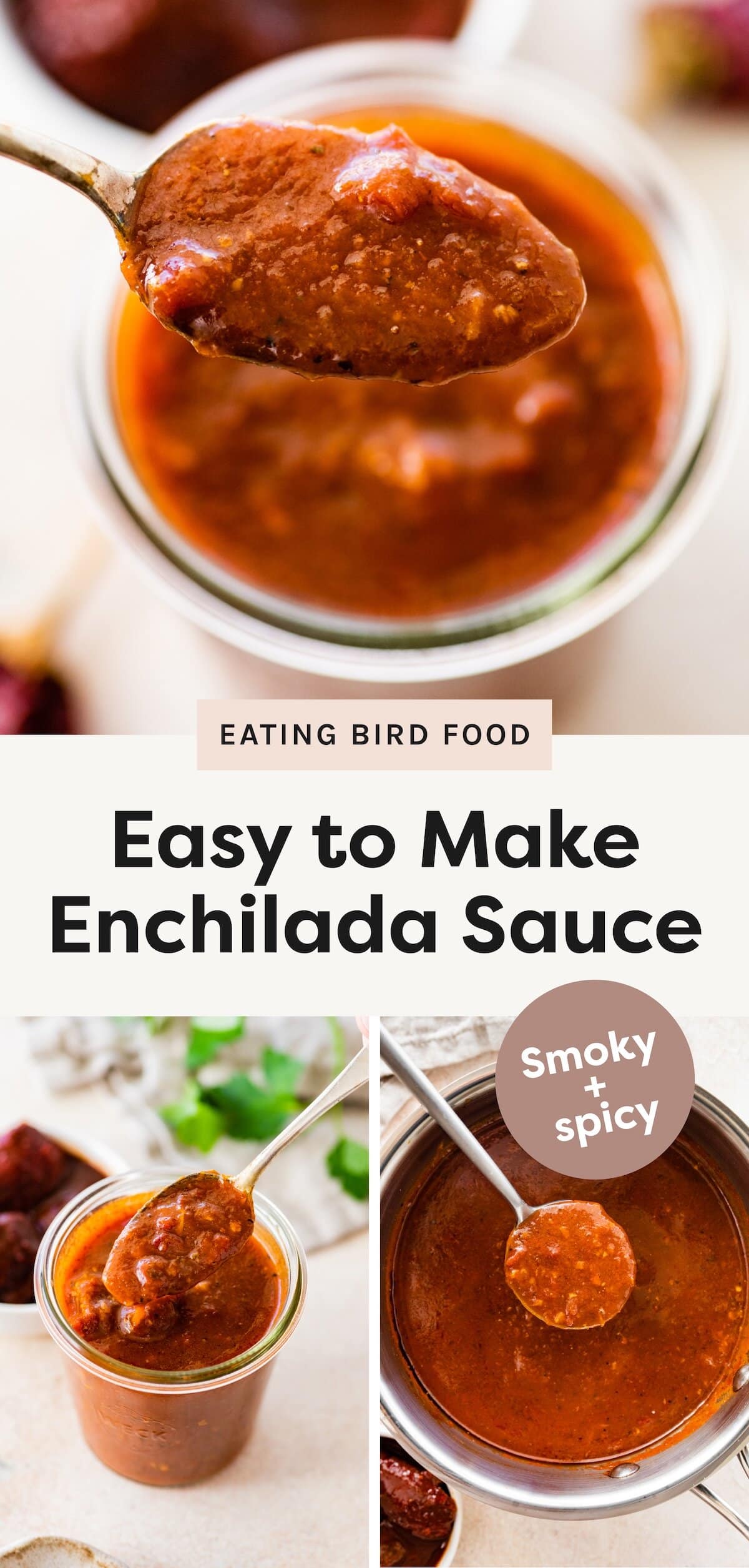 Easy 15-Minute Enchilada Sauce - Eating Bird Food