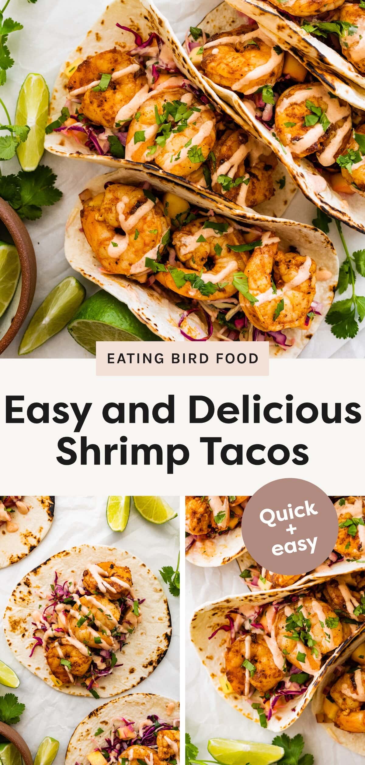 Shrimp Tacos with Mango Cabbage Slaw - Eating Bird Food
