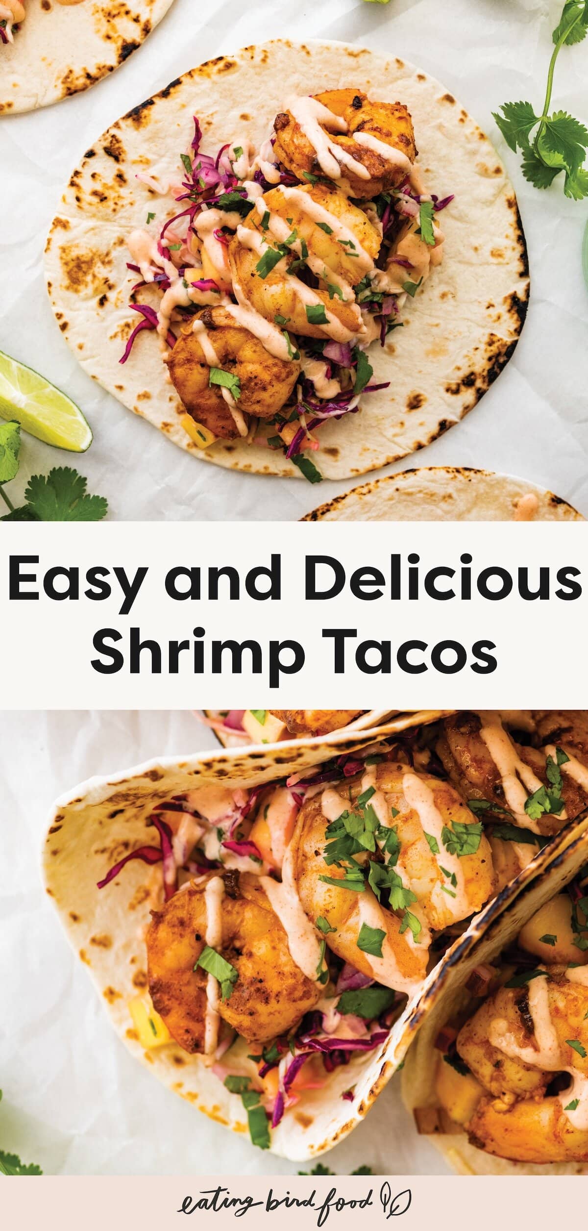 Shrimp Tacos with Mango Cabbage Slaw - Eating Bird Food