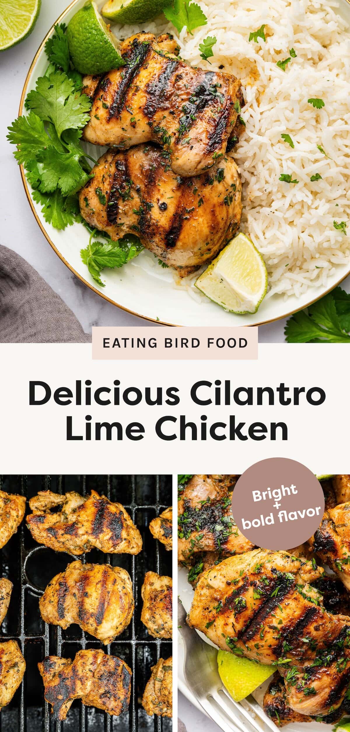 Easy Cilantro Lime Chicken (Grill or Stovetop) - Eating Bird Food