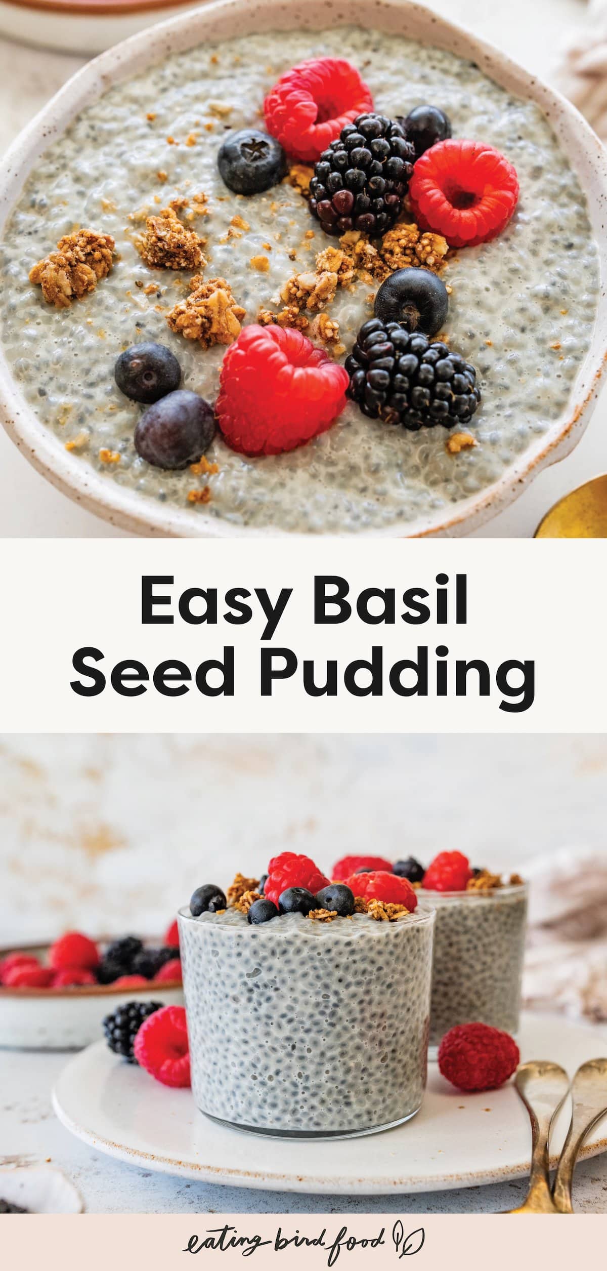 3-Ingredient Basil Seed Pudding (High-Fiber) - Eating Bird Food