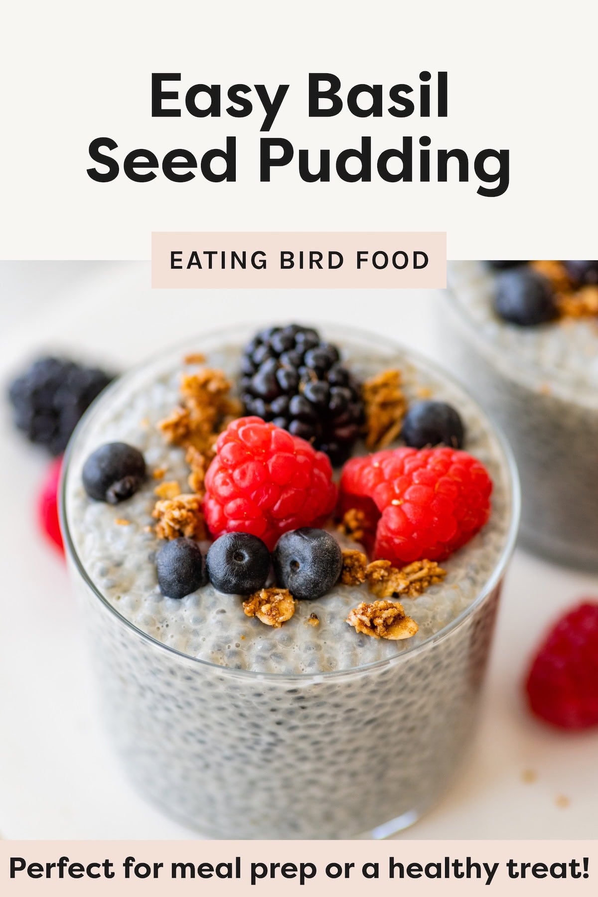 3-Ingredient Basil Seed Pudding (High-Fiber) - Eating Bird Food