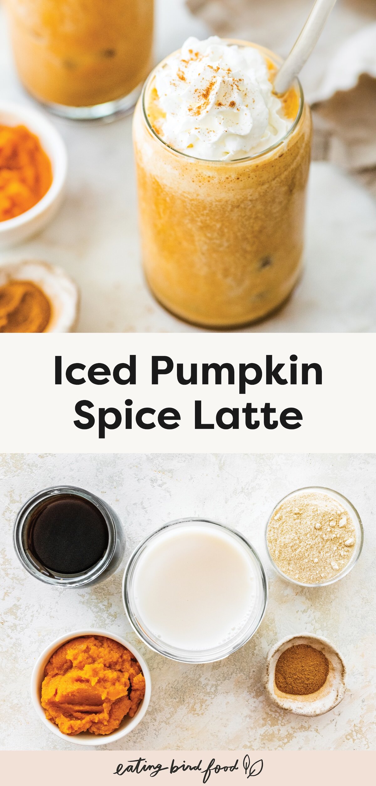 Iced Pumpkin Spice Latte (Protein-Packed) - Eating Bird Food