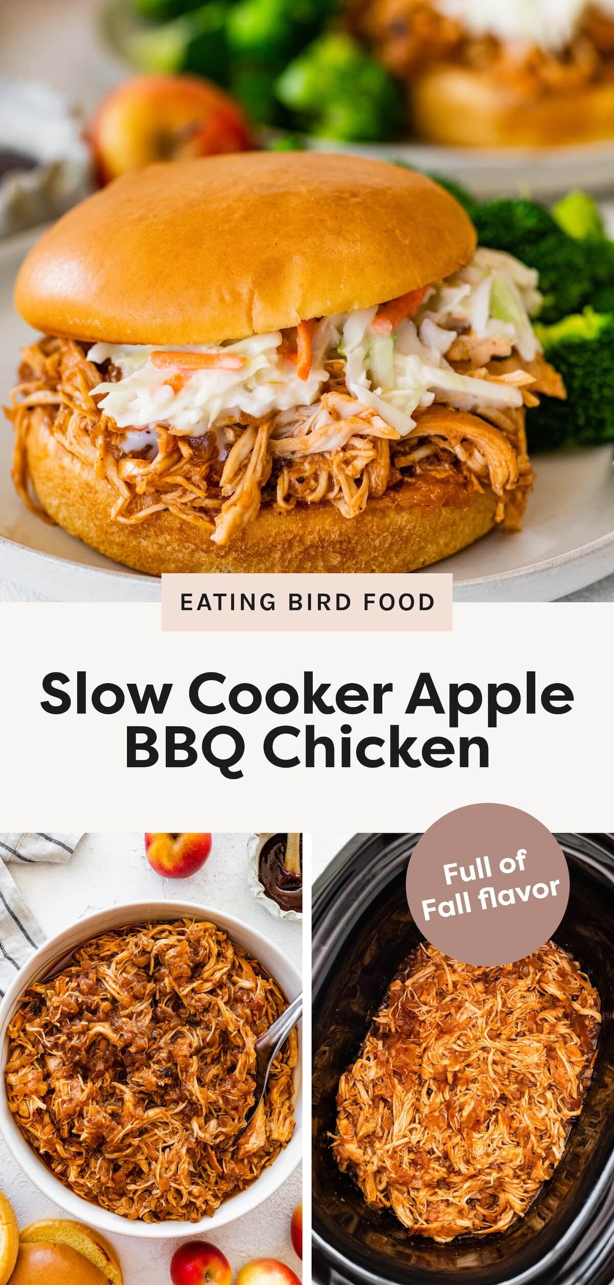 Slow Cooker Apple BBQ Chicken Recipe - Eating Bird Food