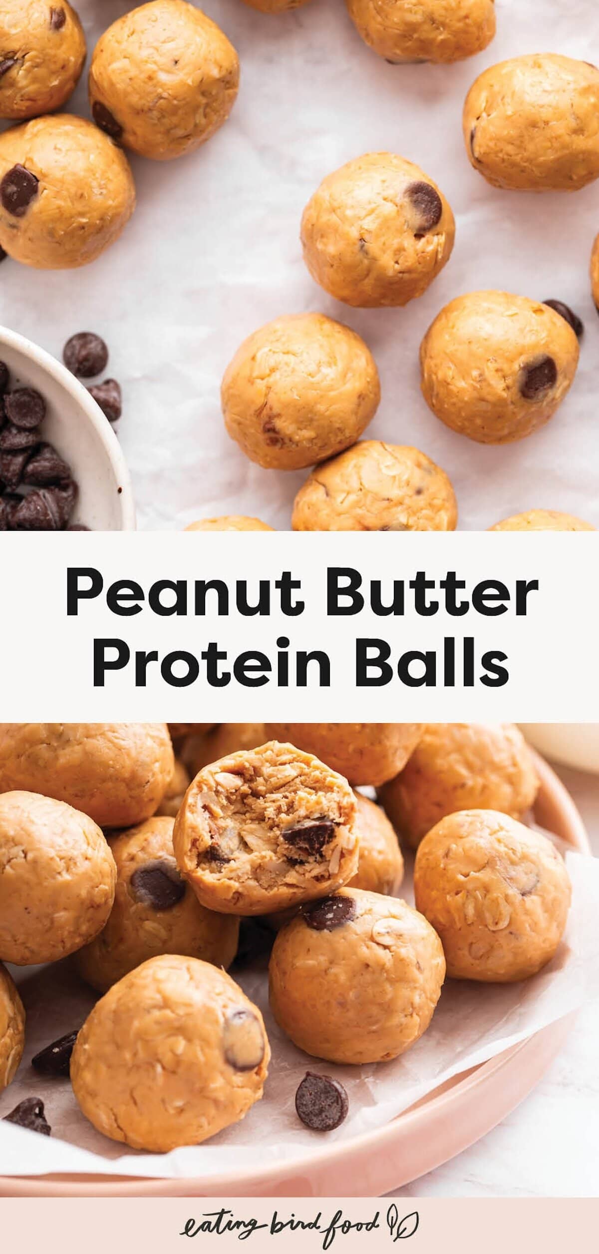 5-Ingredient Peanut Butter Protein Balls - Eating Bird Food