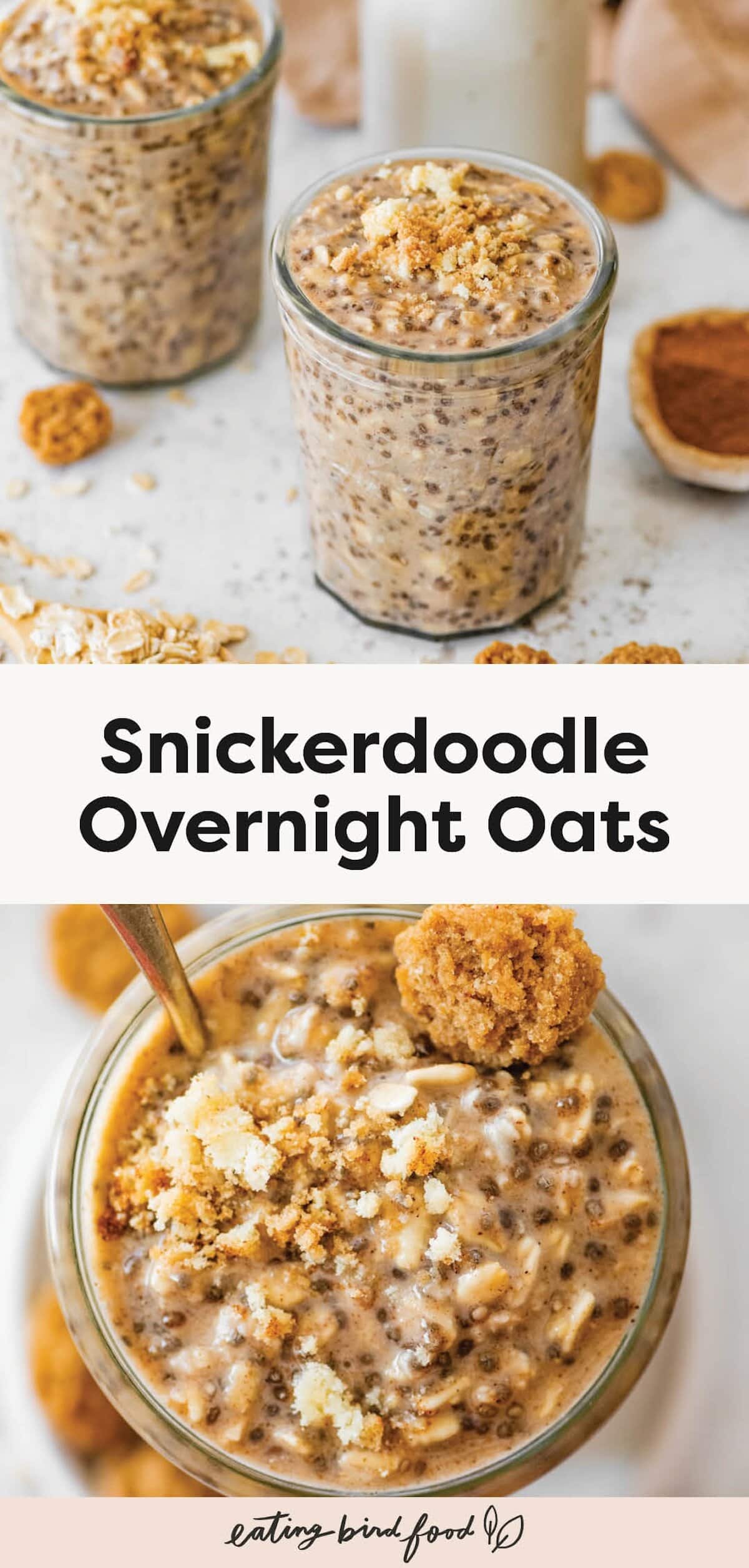 Snickerdoodle Overnight Oats (High Protein + So Easy) - Eating Bird Food