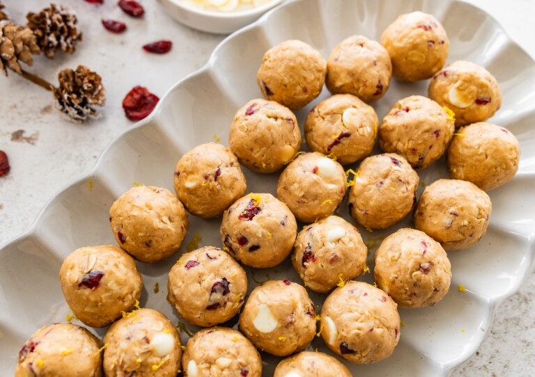 Cranberry Orange Protein Balls - Eating Bird Food