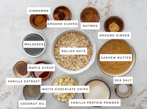 No-Bake Gingerbread Protein Balls - Eating Bird Food