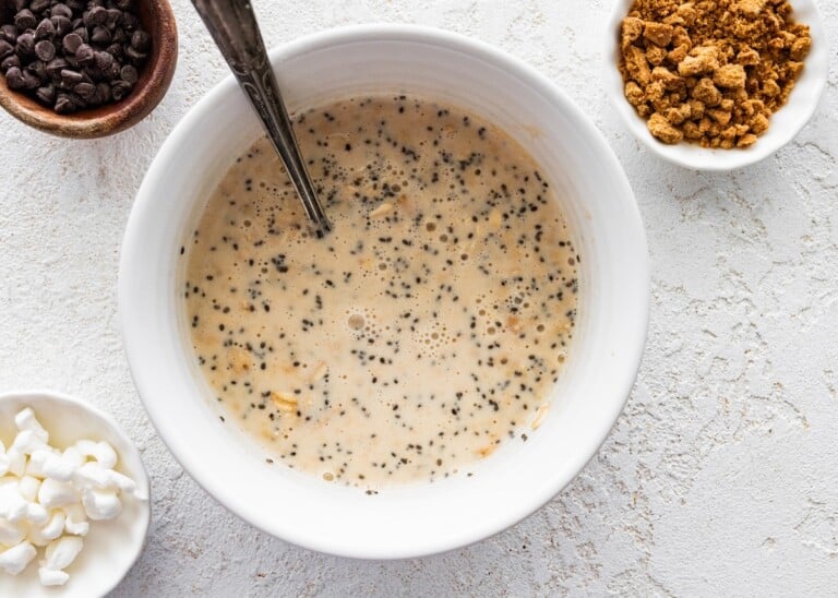 Easy S'mores Overnight Oats Recipe - Eating Bird Food