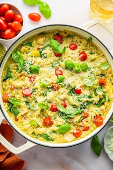 One Pan Pesto Chicken and Orzo Recipe - Eating Bird Food